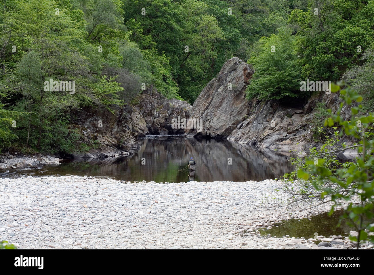 Casting a line fly fishing in a pool in front of shingle the River ...