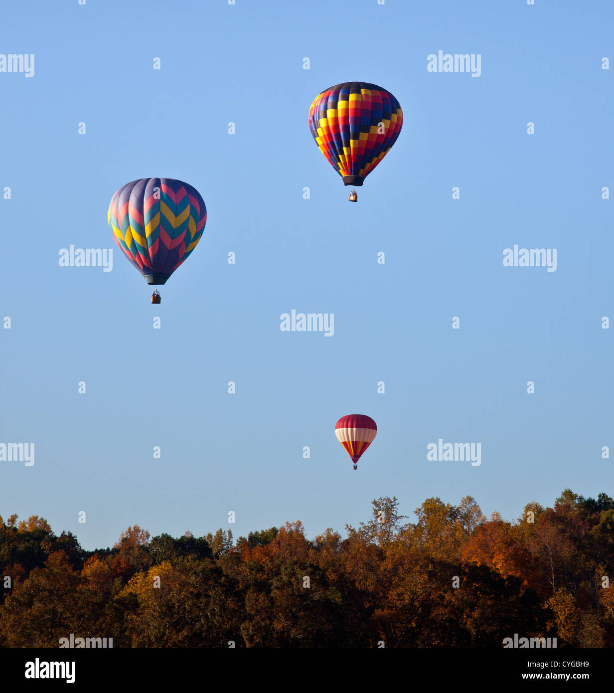 Hot air balloons fill the sky during the Carolina Balloon Festival ...