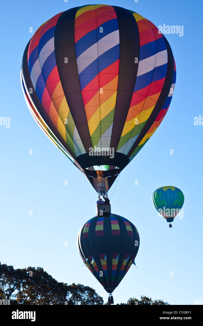 Hot air balloons fill the sky during the Carolina Balloon Festival ...