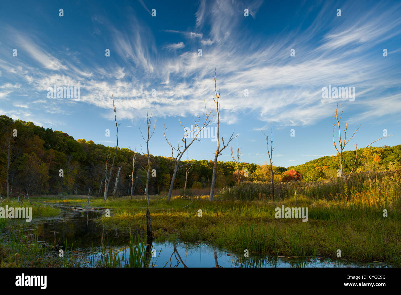 Marsh sunset landscapes hi-res stock photography and images - Alamy