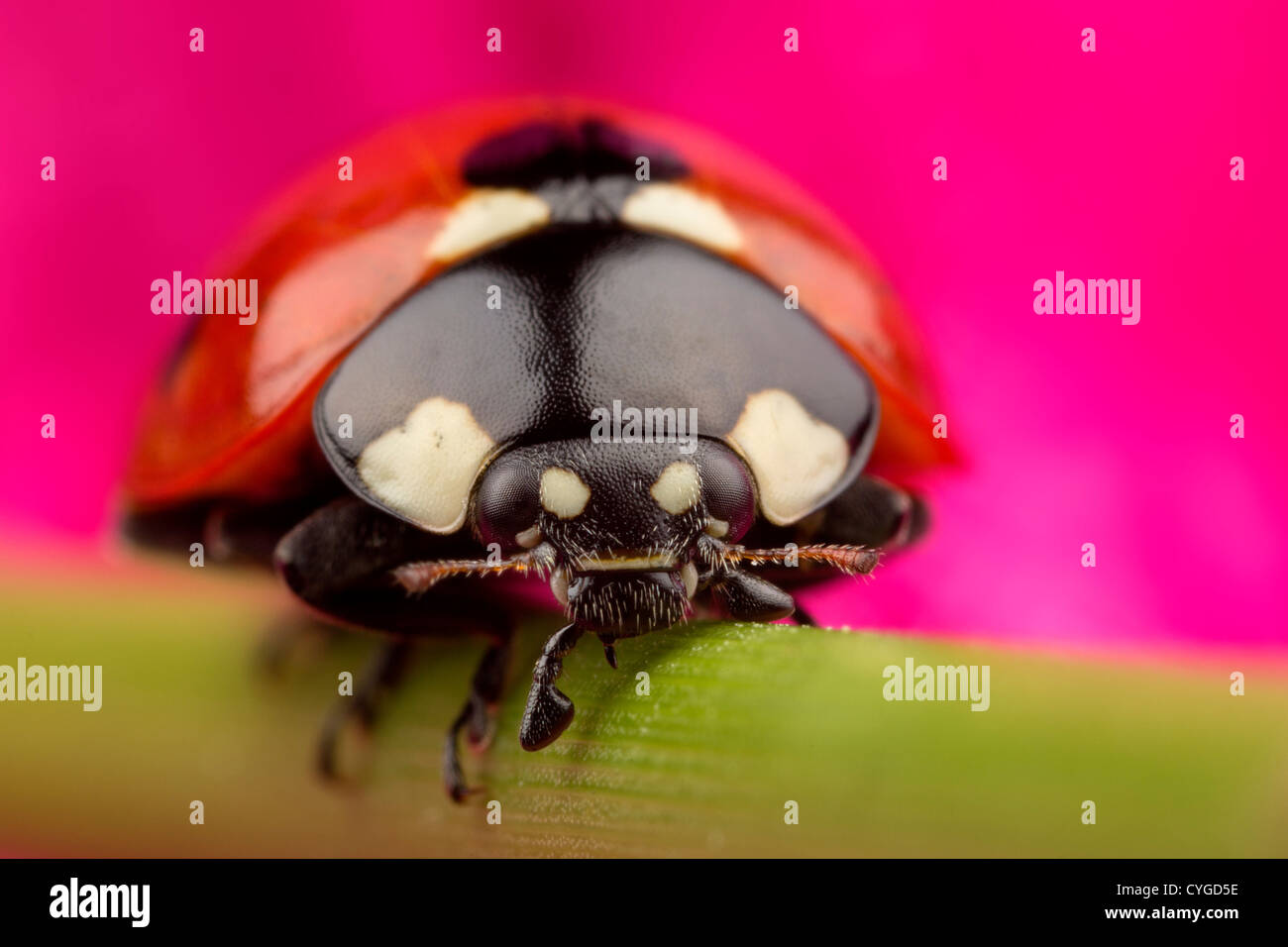 Names of scientists hi-res stock photography and images - Alamy