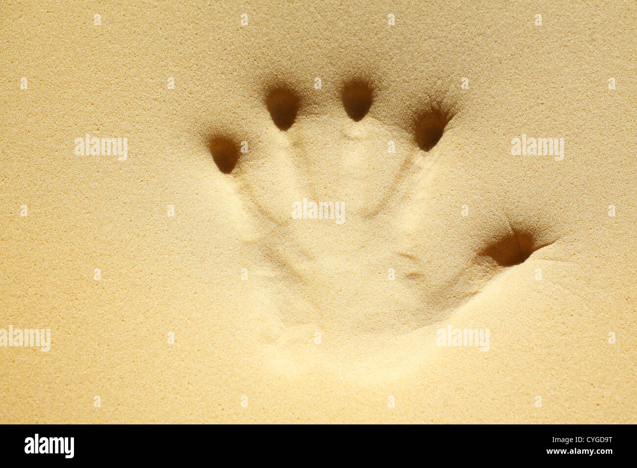 Trace hand hi-res stock photography and images - Alamy