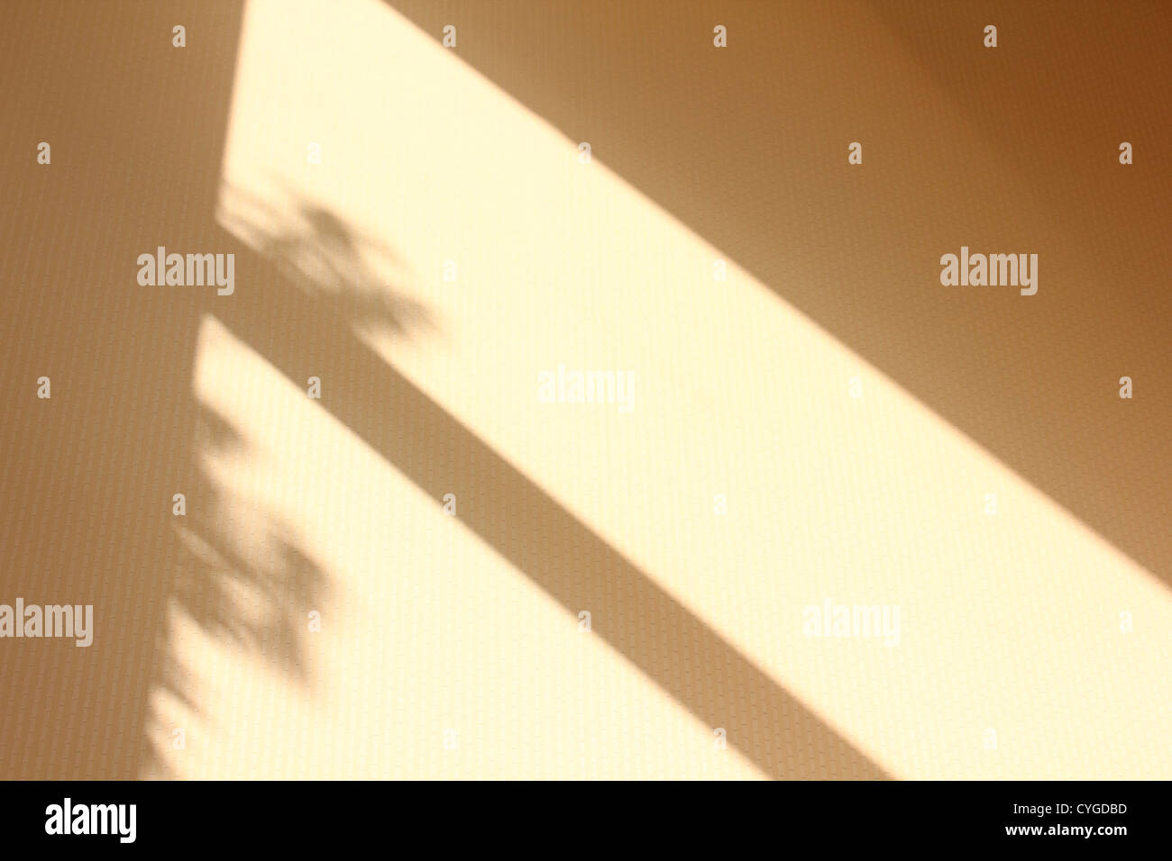 Room enlightened by the light coming from a window Stock Photo - Alamy