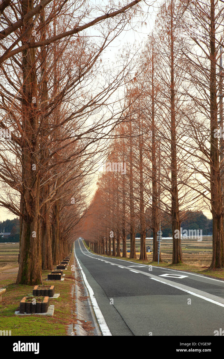 Takashima japan hi-res stock photography and images - Alamy