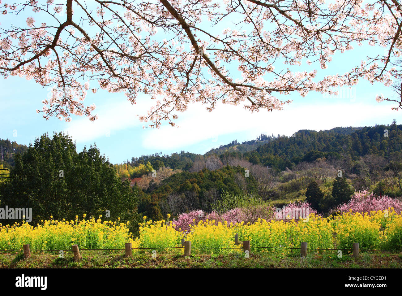 Asuka Village, Nara Prefecture Stock Photo - Alamy