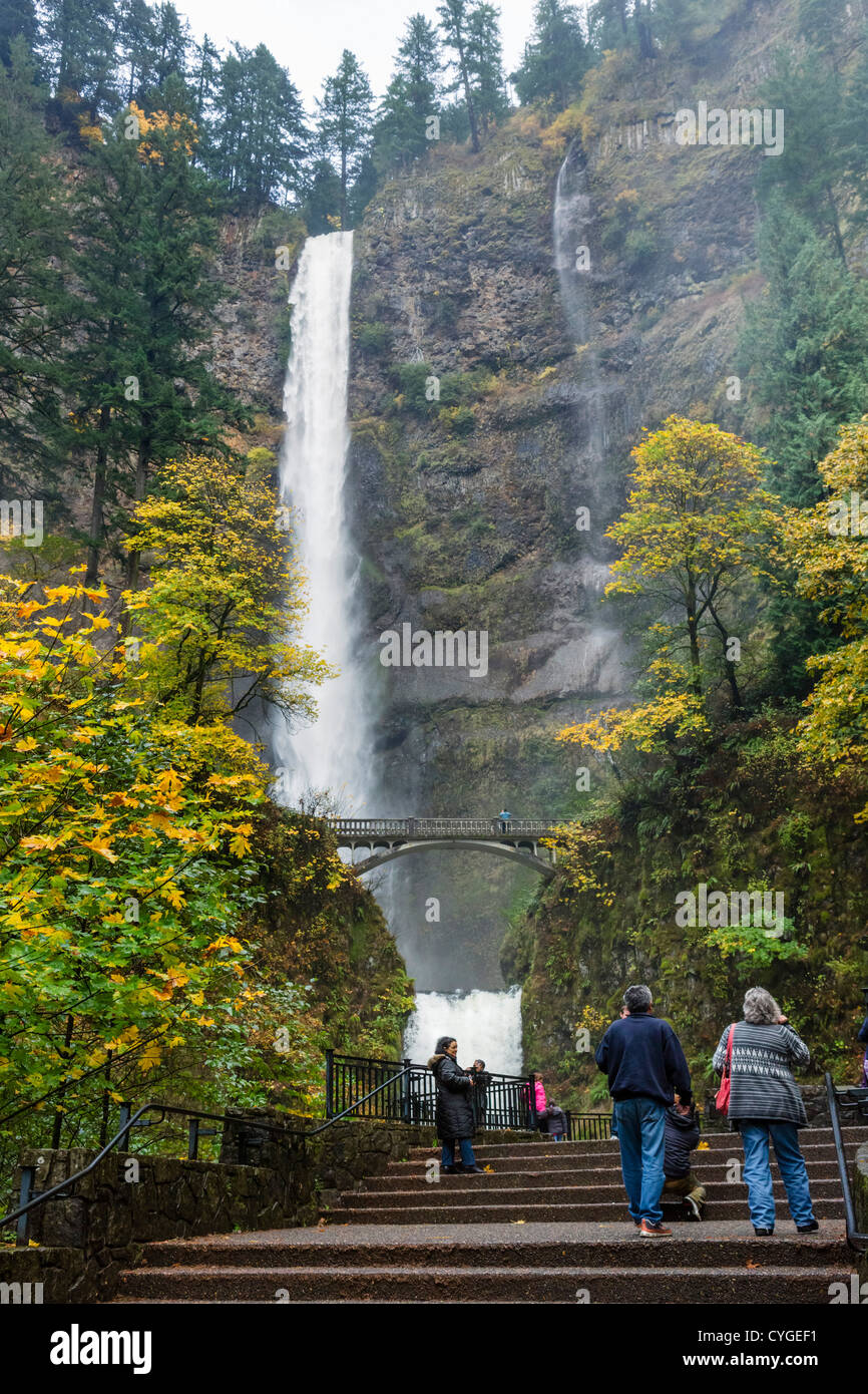 Multnomah county oregon waterfalls autumn waterfall waterfalls trees columbia river hi-res stock ...