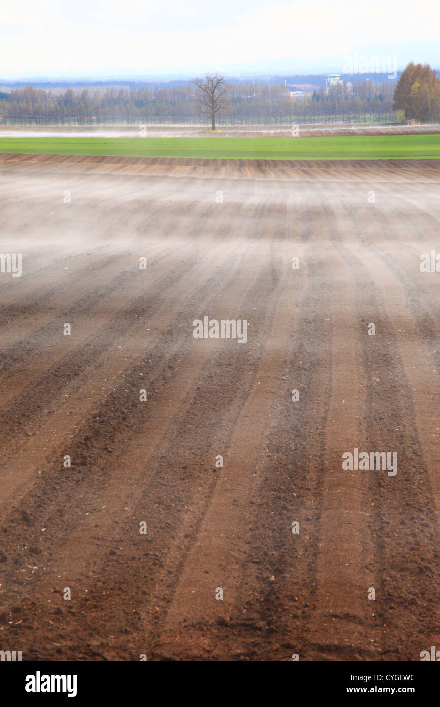 Haze field hi-res stock photography and images - Alamy