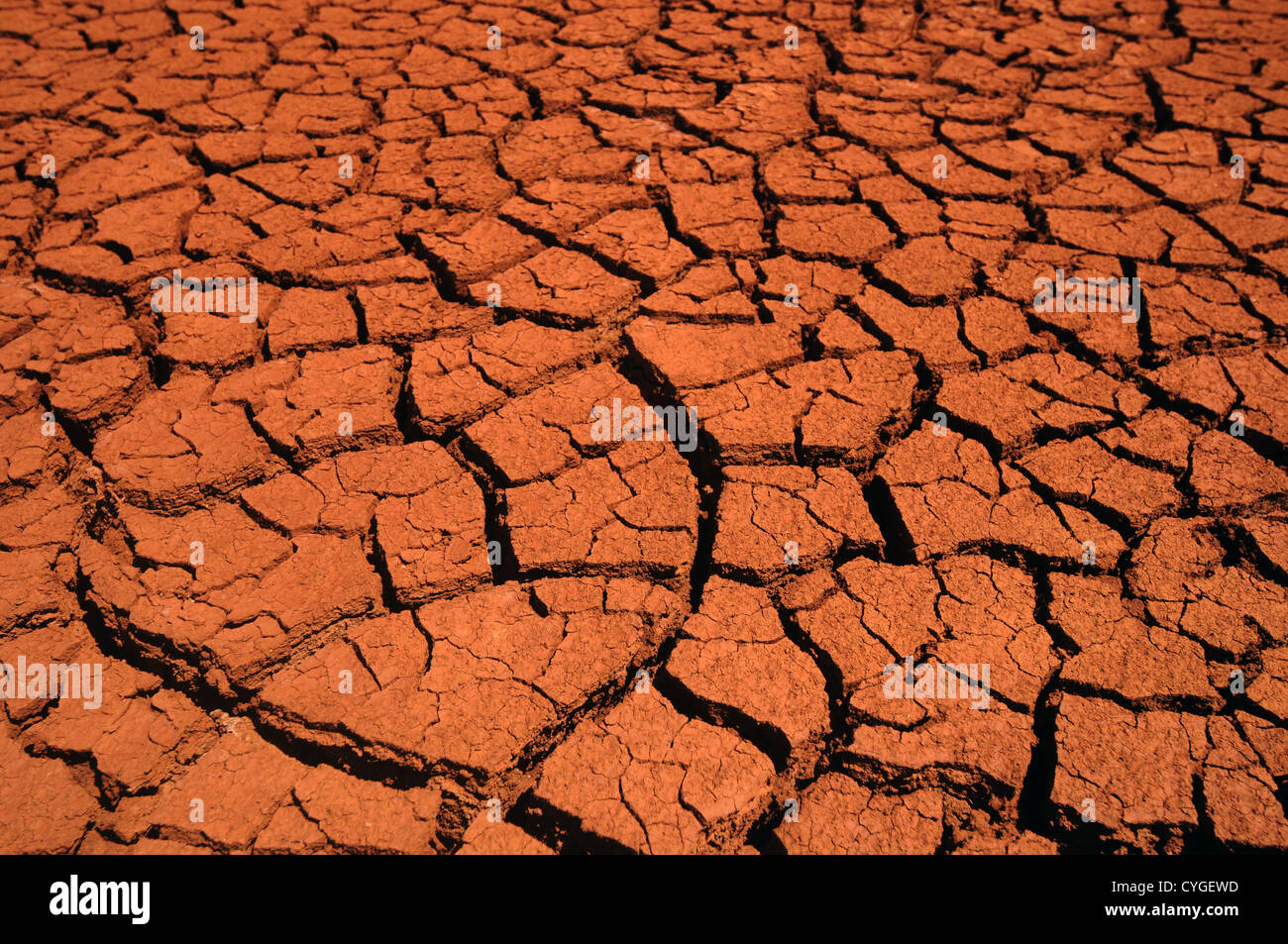 Cracked mud on dry lakebed Stock Photo - Alamy