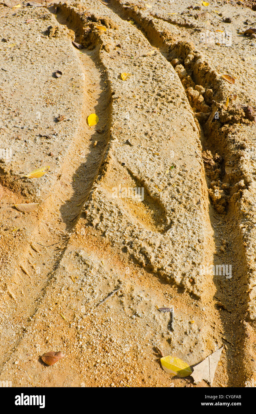 Dirt track on the sand Stock Photo - Alamy
