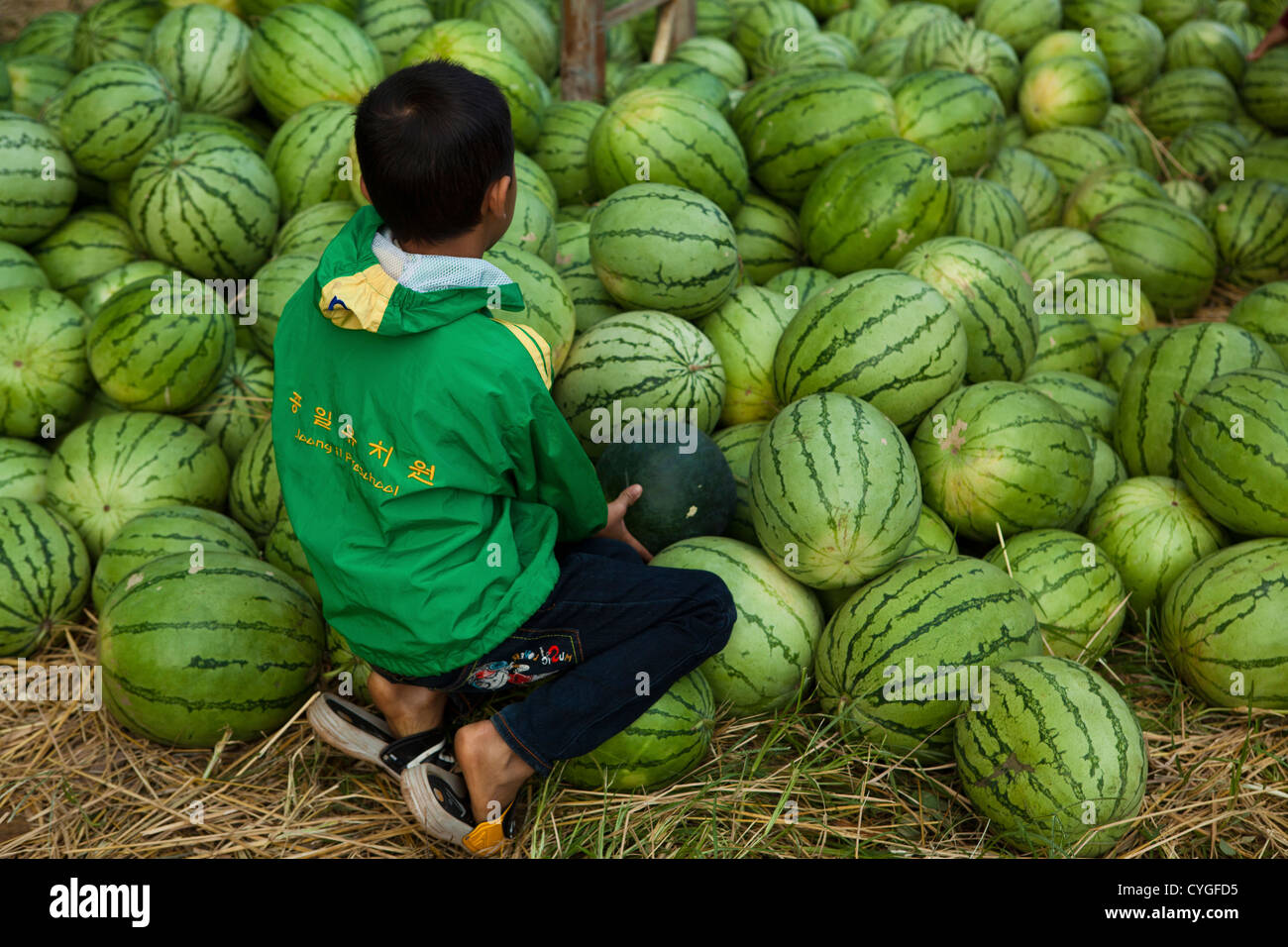 Boy Vendor High Resolution Stock Photography and Images - Alamy