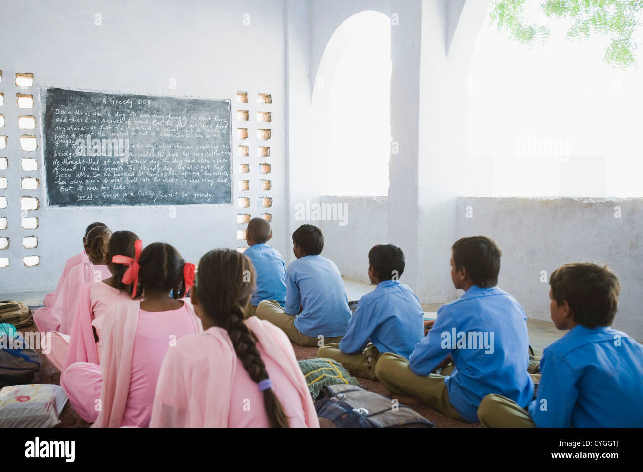 Student studying in a school Stock Photo - Alamy