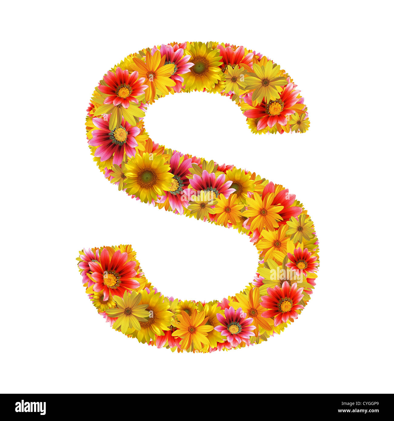 Floral Font Letter S Stock Photos & Floral Font Letter S Stock Images ...