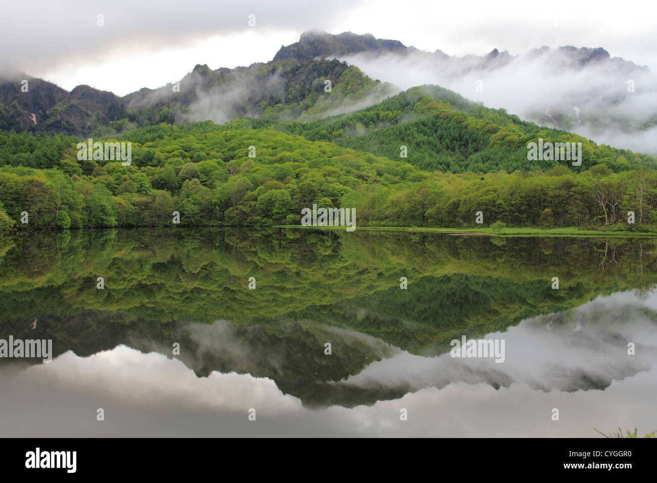 Kagamiike plateau in Togakushi, Nagano Stock Photo - Alamy