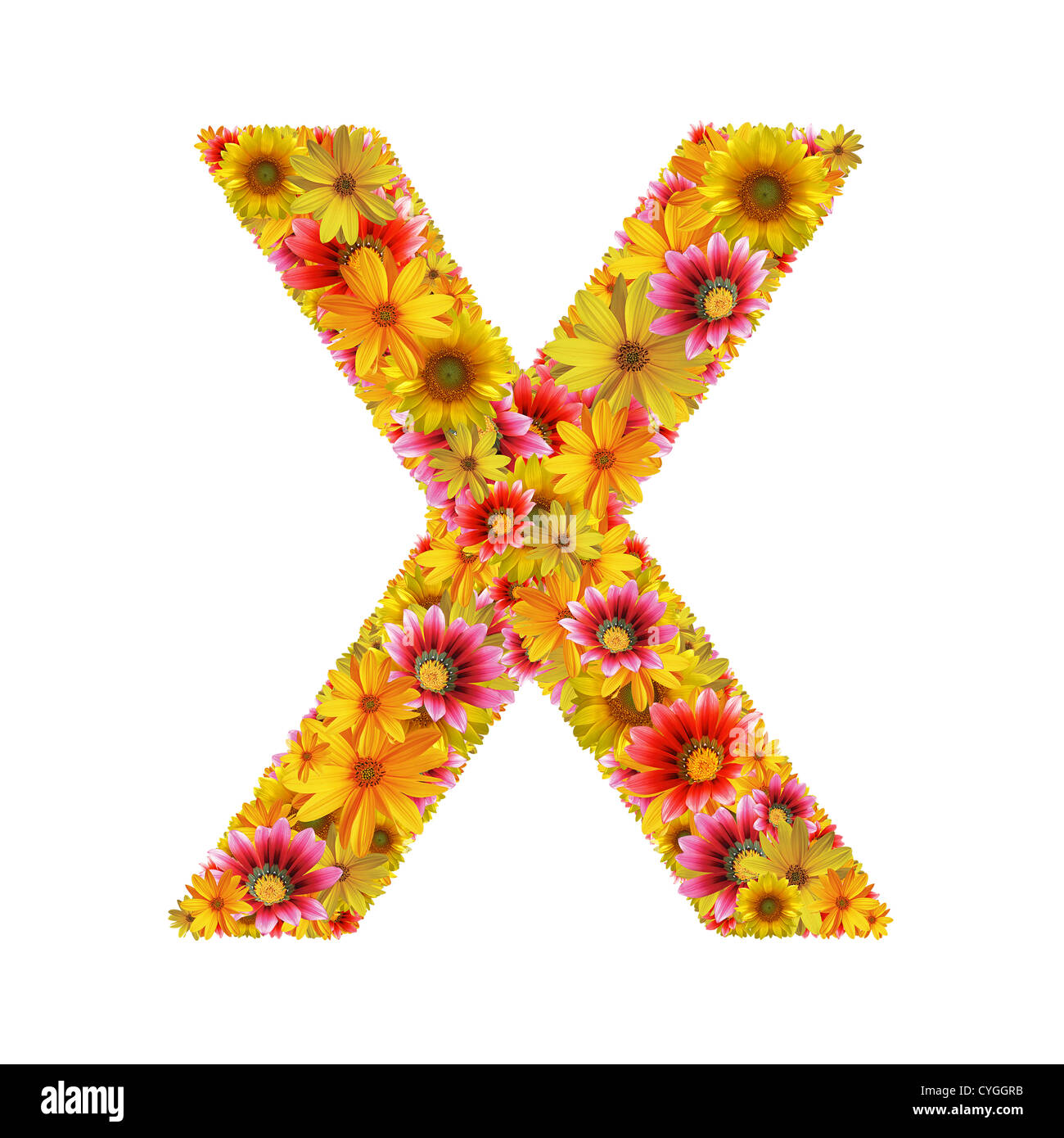 Letter X created of flowers isolated on white background (with clipping ...