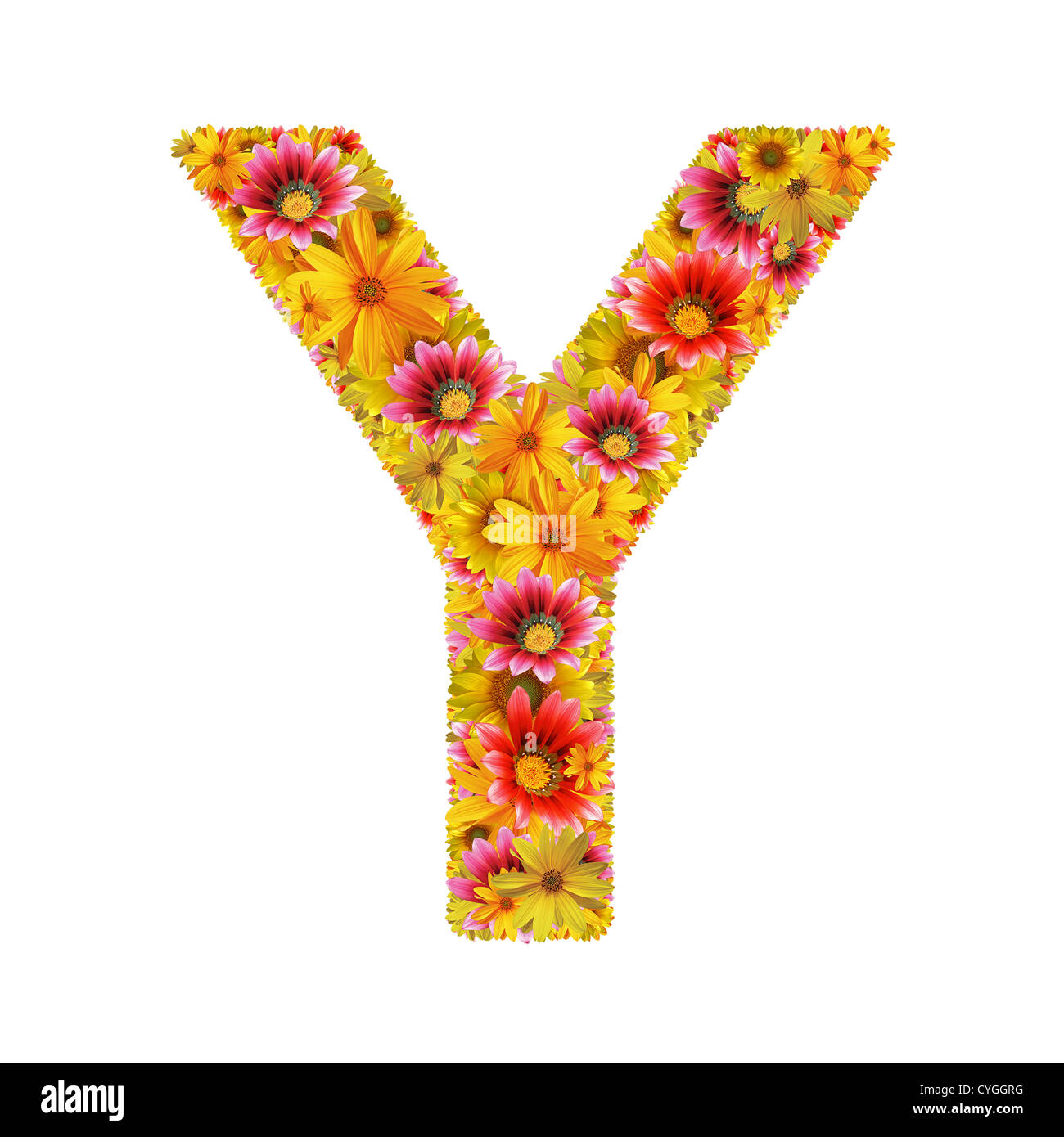 Letter Y created of flowers isolated on white background (with clipping ...