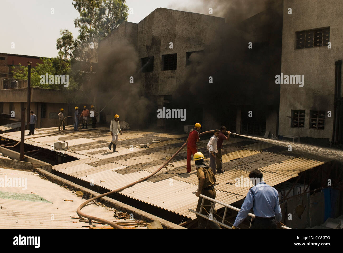 Firefighter ladder tree hi-res stock photography and images - Alamy