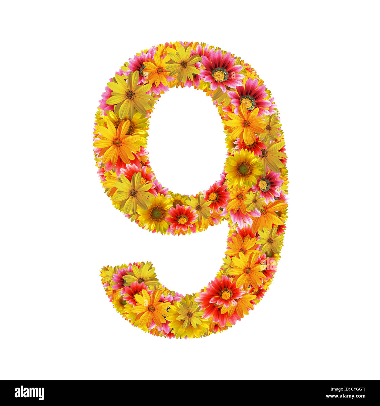 Number 9 created of flowers isolated on white background (with clipping ...