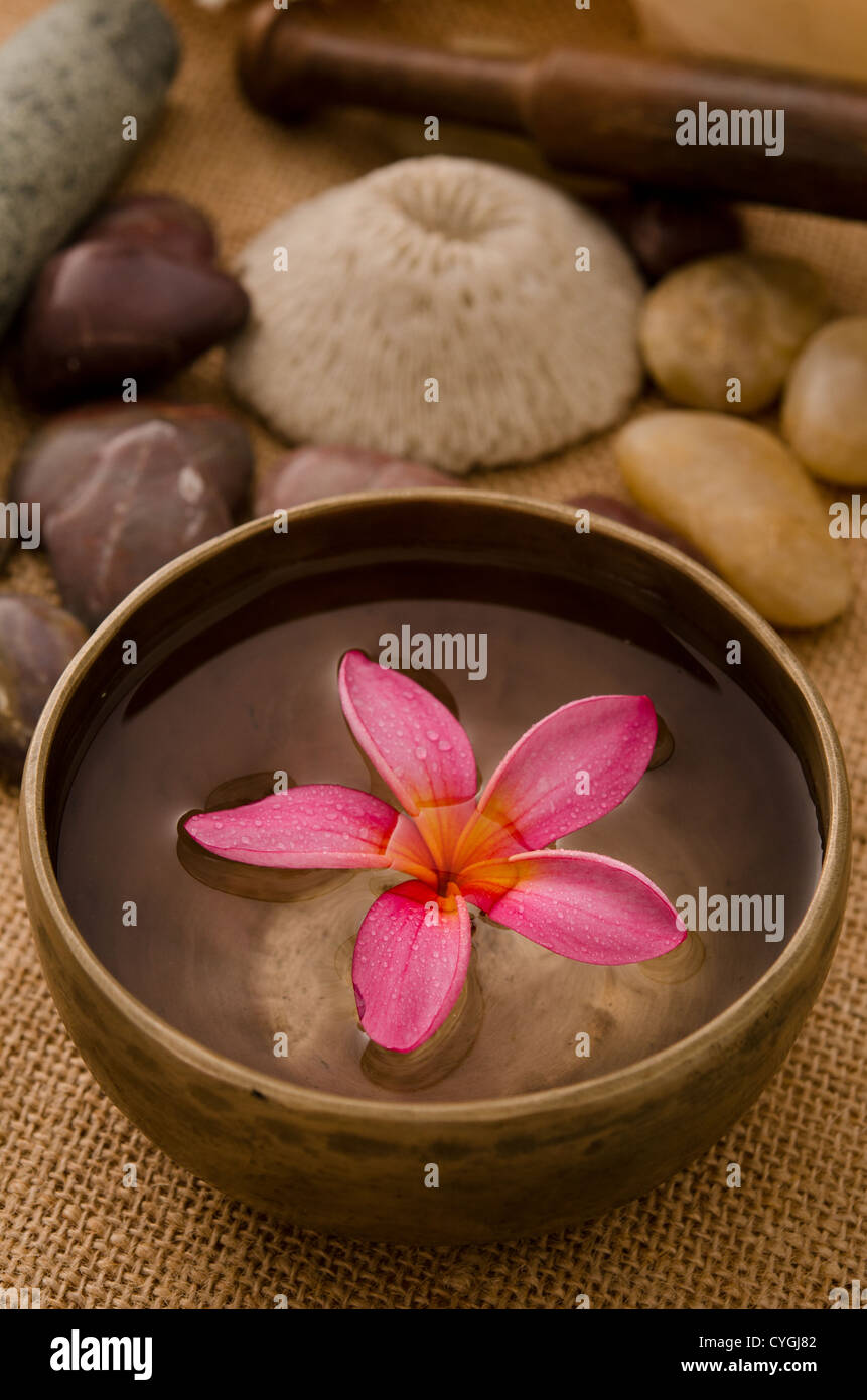 tropical spa setup with frangipani flower Stock Photo - Alamy