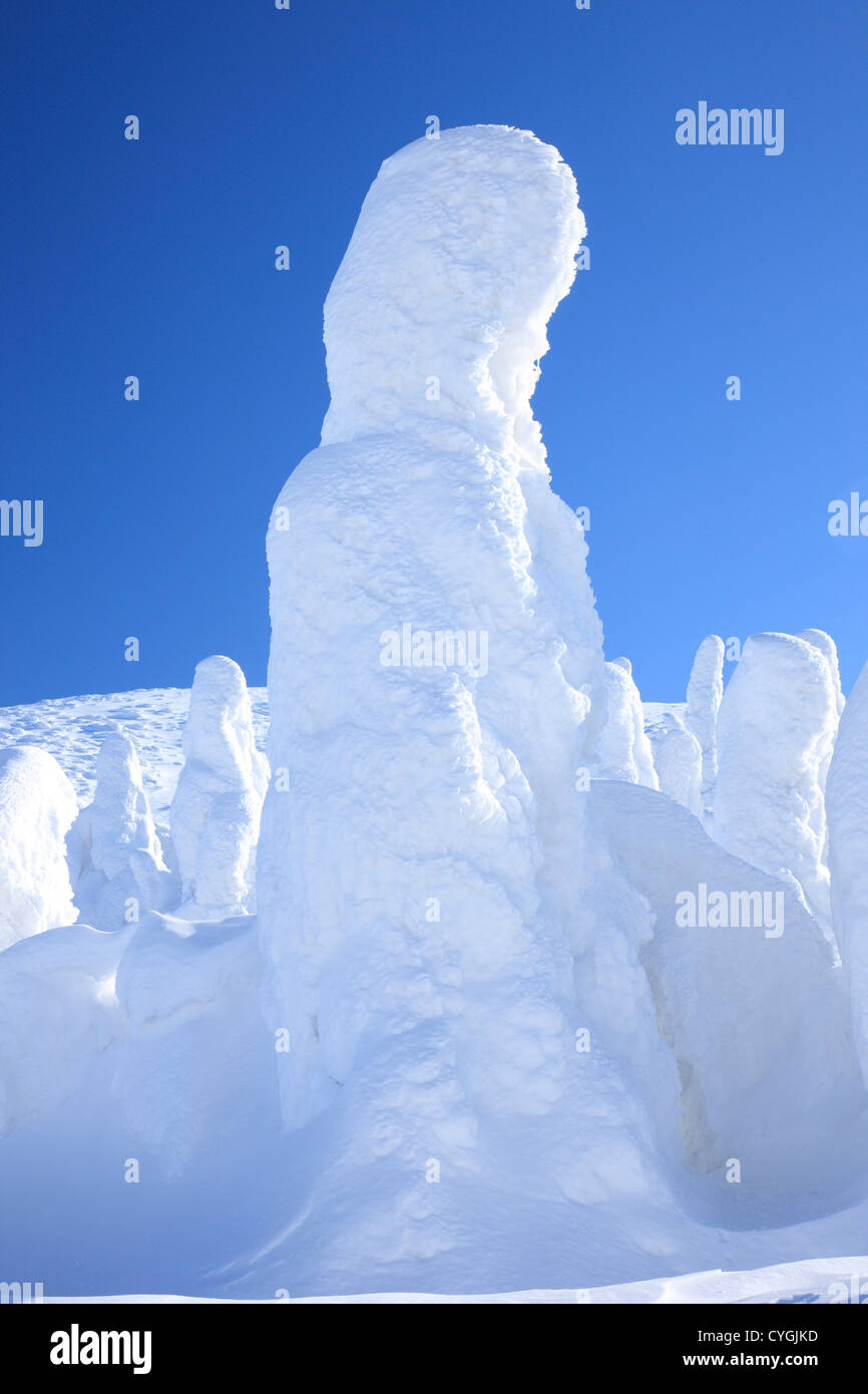 Yamagata frozen forest hi-res stock photography and images - Alamy