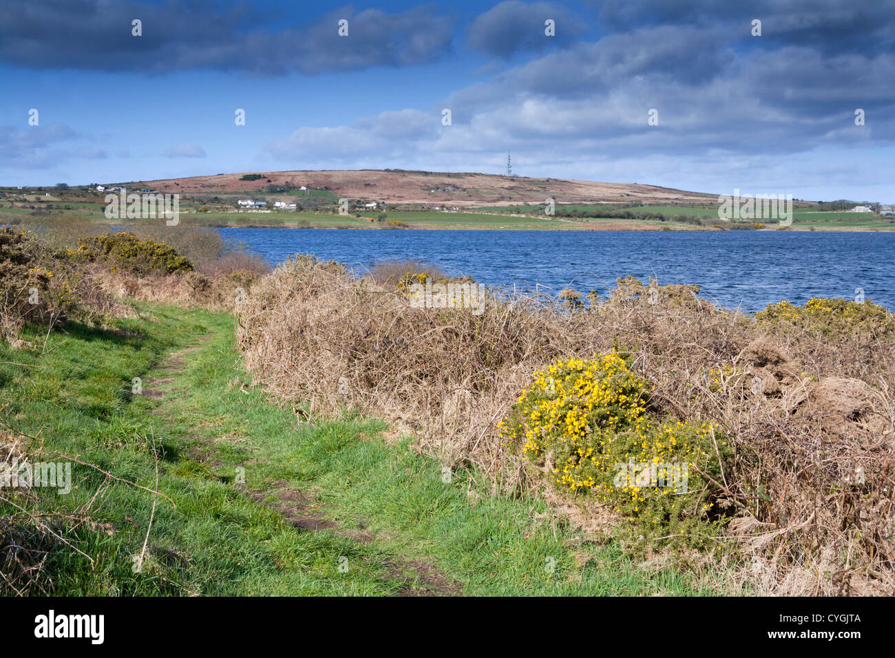 Stithians reservoir hi-res stock photography and images - Alamy