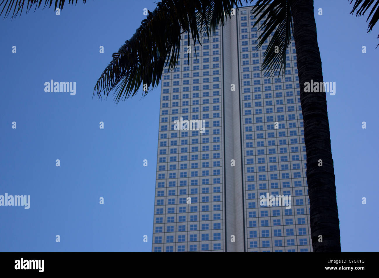 Condo or business building in Miami Florida Stock Photo - Alamy