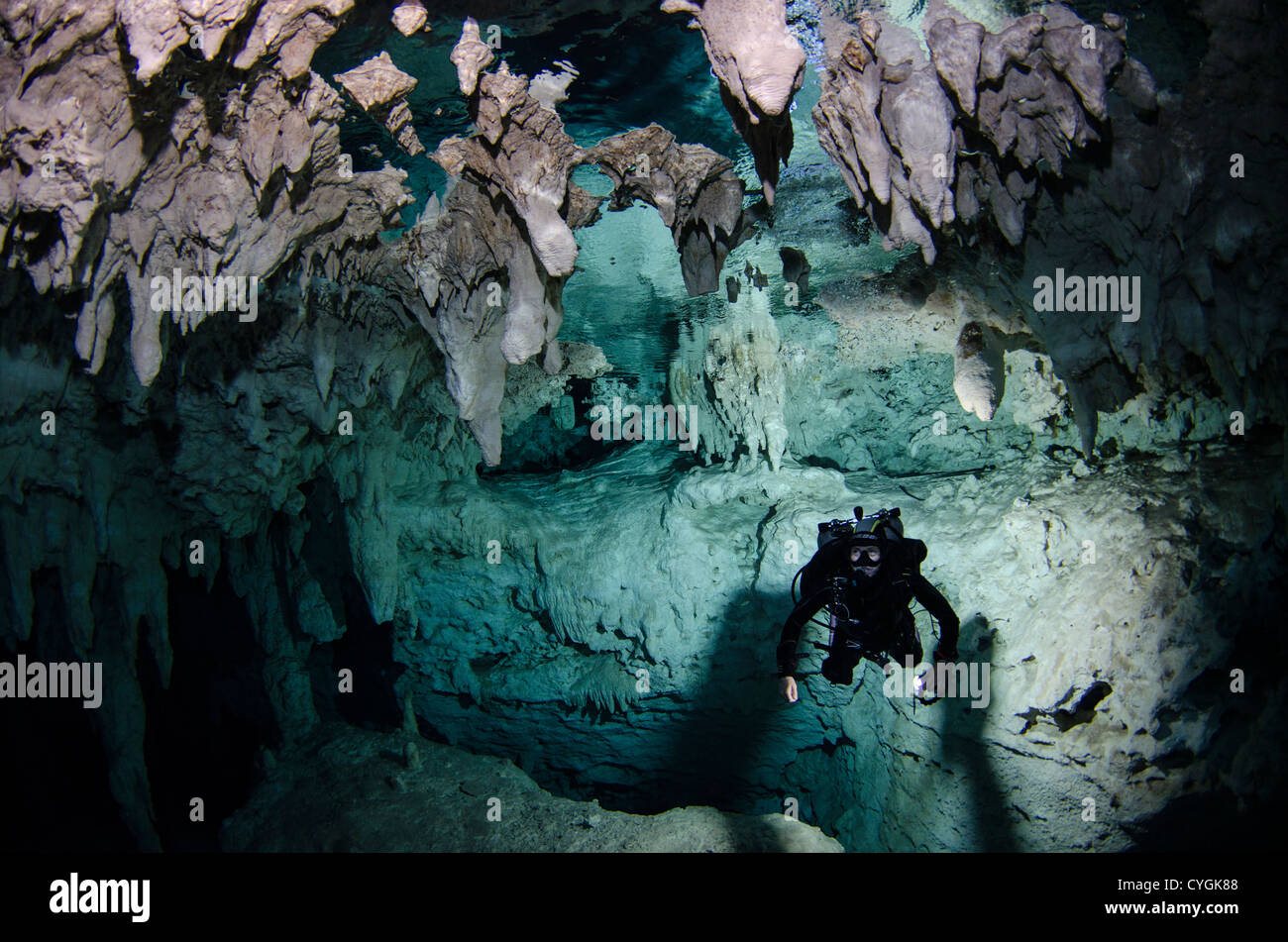 Grand cenote, Tulum (Playa del Carmen), Yucatan, Mexico Stock Photo - Alamy