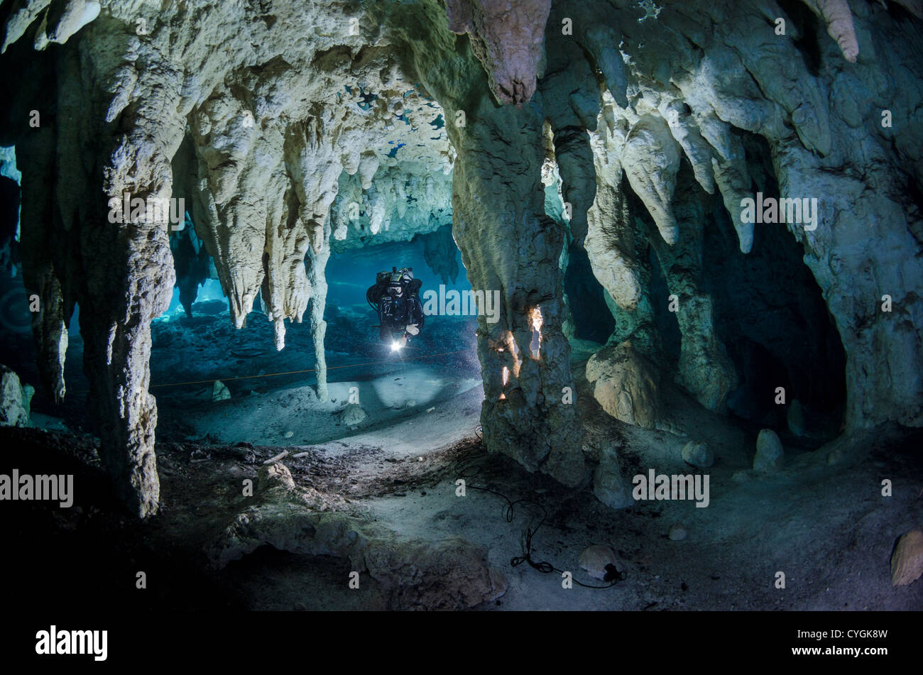 Grand cenote, Tulum (Playa del Carmen), Yucatan, Mexico Stock Photo - Alamy