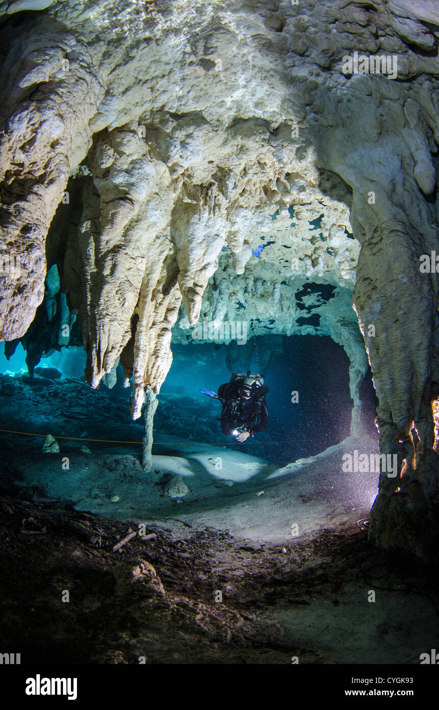 Grand cenote, Tulum (Playa del Carmen), Yucatan, Mexico Stock Photo - Alamy