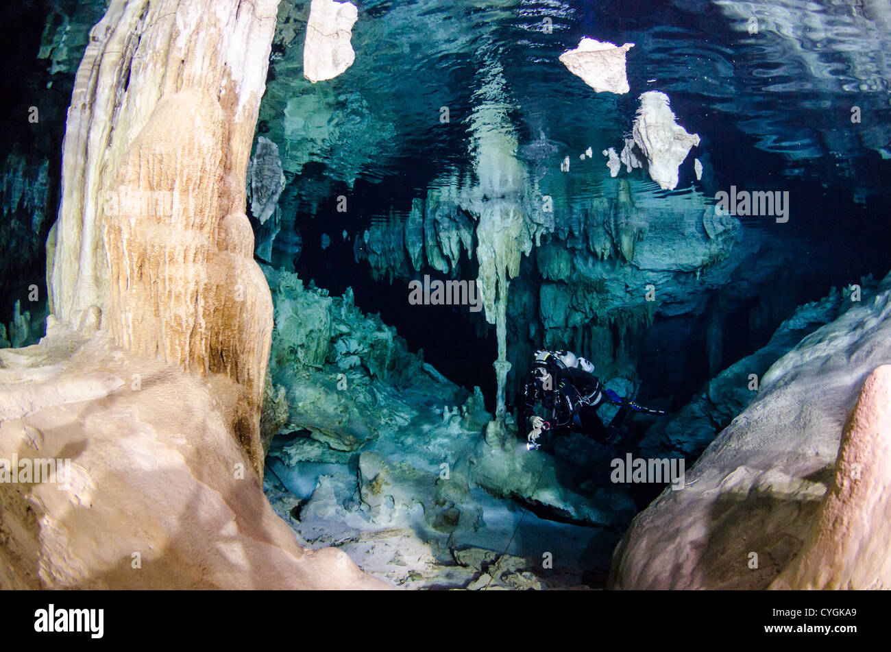 Grand cenote, Tulum (Playa del Carmen), Yucatan, Mexico Stock Photo - Alamy