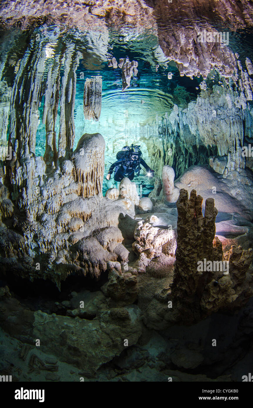 Grand cenote, Tulum (Playa del Carmen), Yucatan, Mexico Stock Photo - Alamy