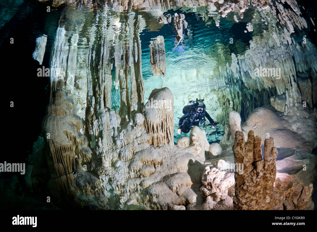 Grand cenote, Tulum (Playa del Carmen), Yucatan, Mexico Stock Photo - Alamy