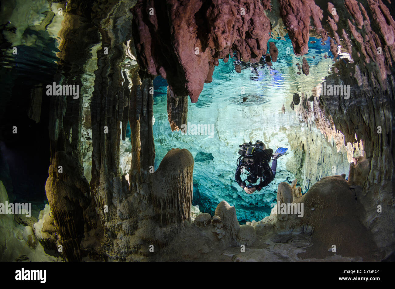 Grand cenote, Tulum (Playa del Carmen), Yucatan, Mexico Stock Photo - Alamy