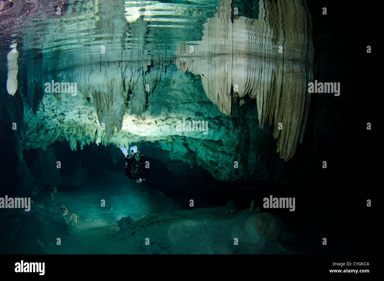 Grand cenote, Tulum (Playa del Carmen), Yucatan, Mexico Stock Photo - Alamy
