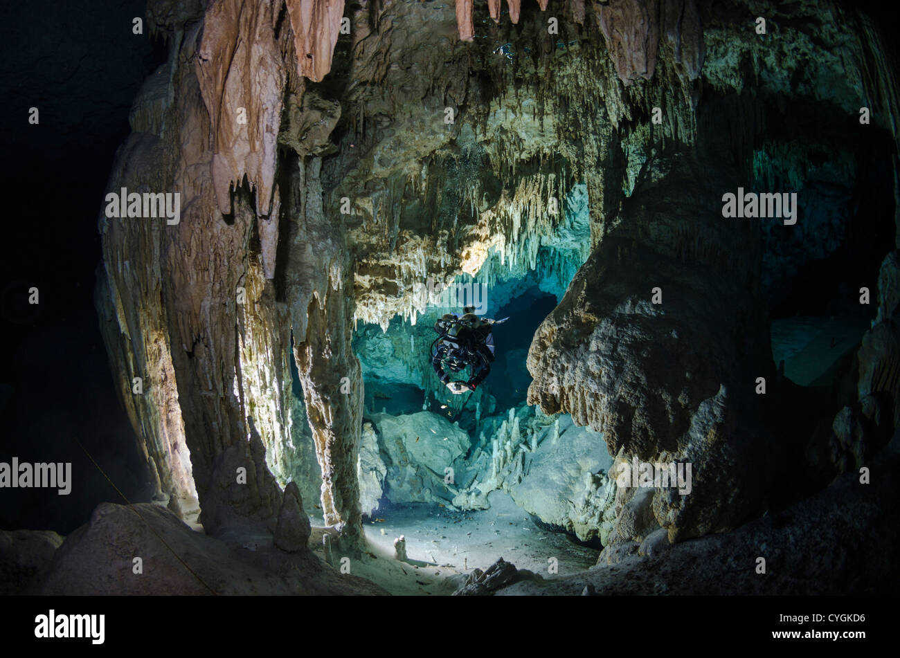 Grand cenote, Tulum (Playa del Carmen), Yucatan, Mexico Stock Photo - Alamy