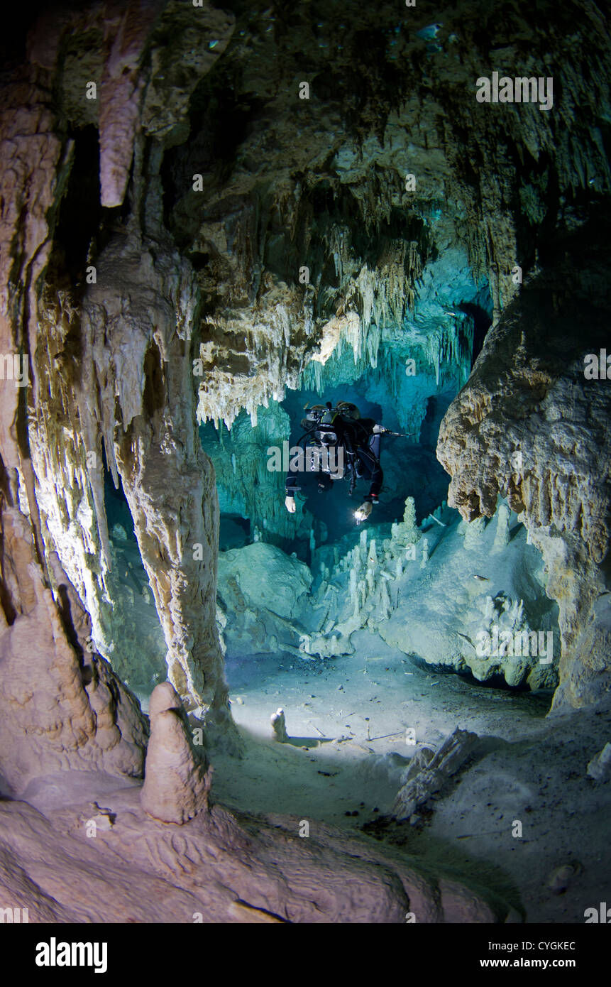 Grand cenote, Tulum (Playa del Carmen), Yucatan, Mexico Stock Photo - Alamy