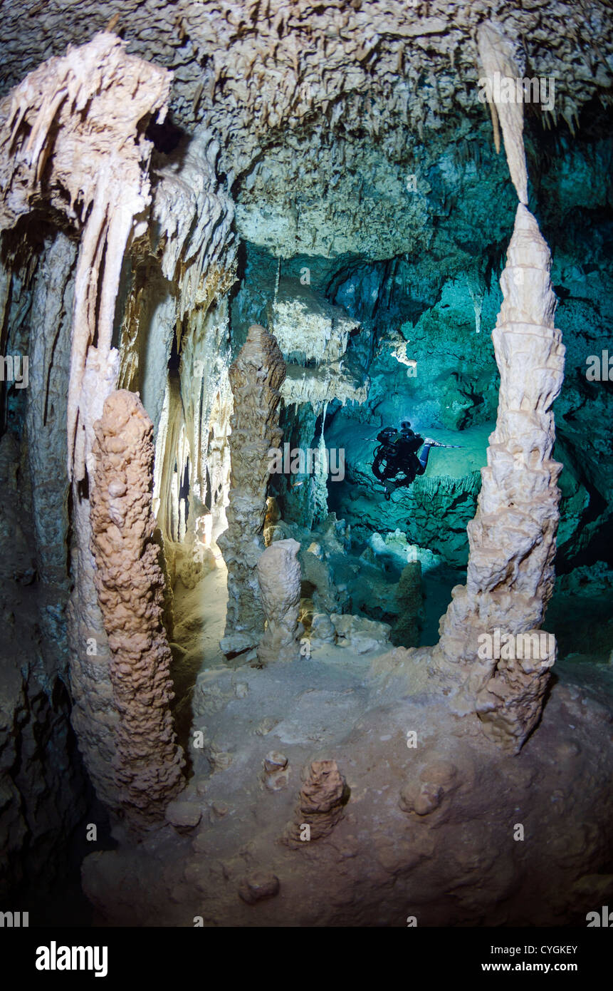 Grand cenote, Tulum (Playa del Carmen), Yucatan, Mexico Stock Photo - Alamy