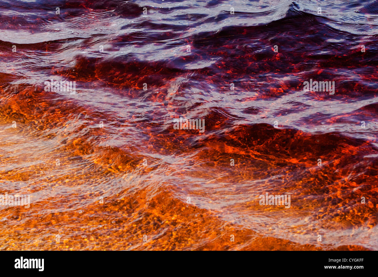 Red water in coca cola lake in Karikari peninsula northland New Stock ...