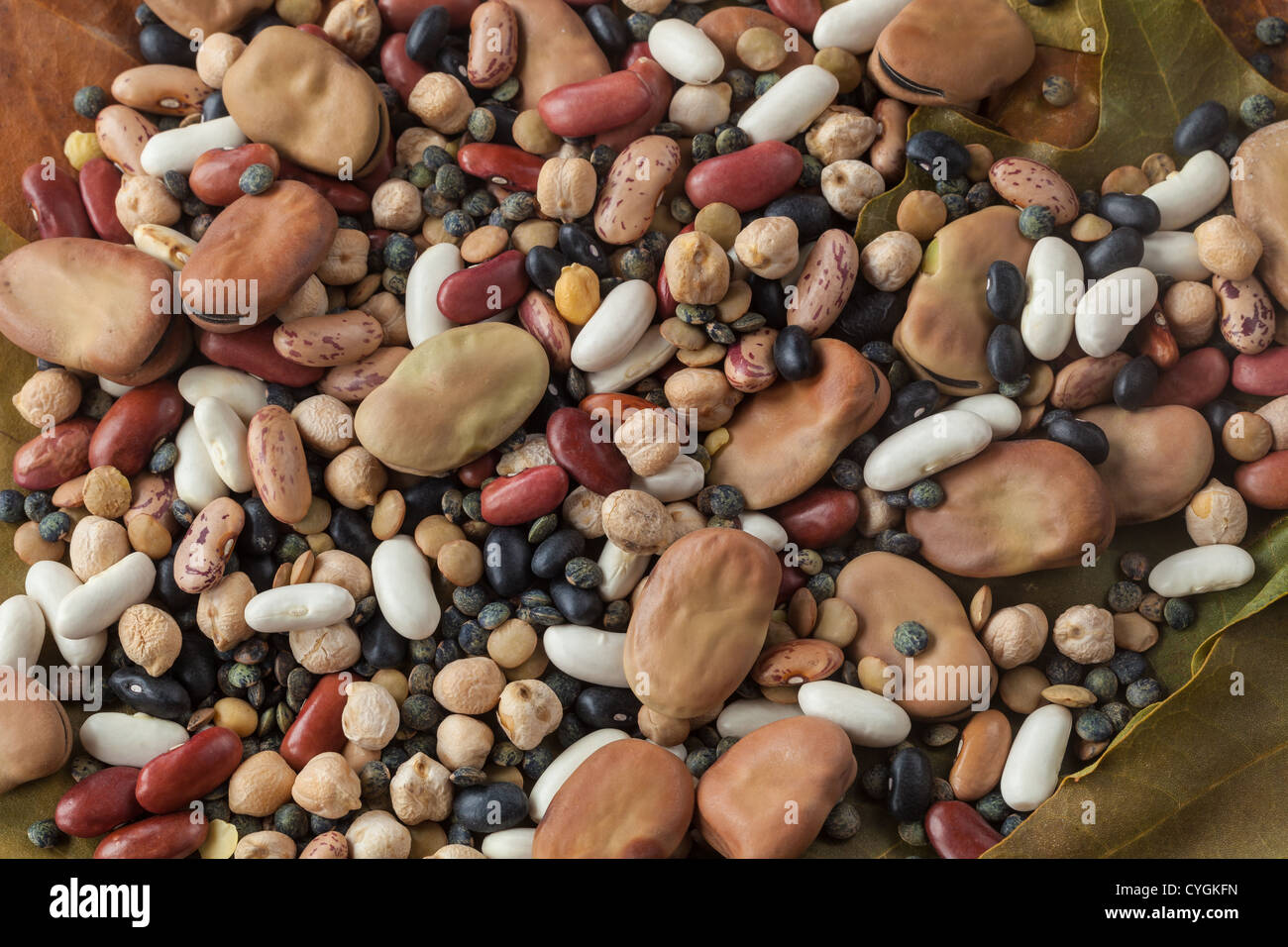 Seasonal assortment of raw legumes on autumn leaf Stock Photo - Alamy