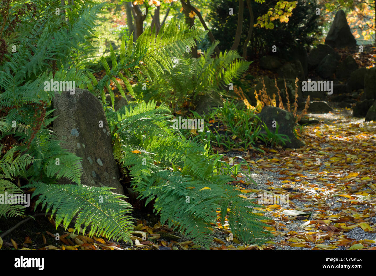 Hortus leiden hi-res stock photography and images - Alamy