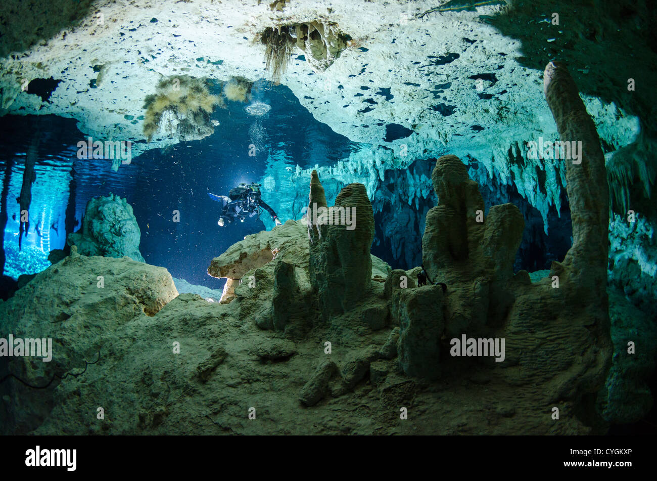 Tulum mexico cenote dos ojos hi-res stock photography and images - Alamy
