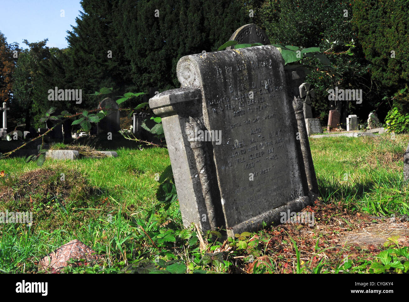Overgrown cemetery hi-res stock photography and images - Alamy