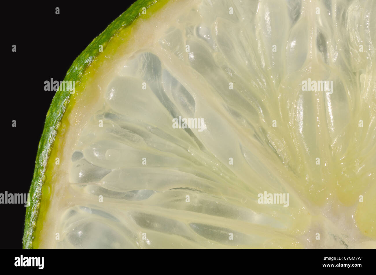 lime fruit section slice slices isolated on dark background Stock Photo ...