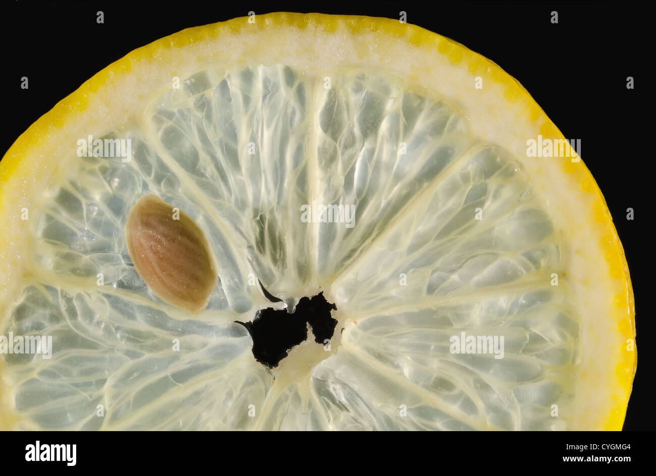 Fruit cell structure hi-res stock photography and images - Alamy
