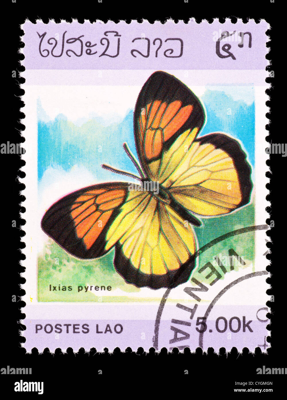 Ixias Pyrene High Resolution Stock Photography and Images - Alamy