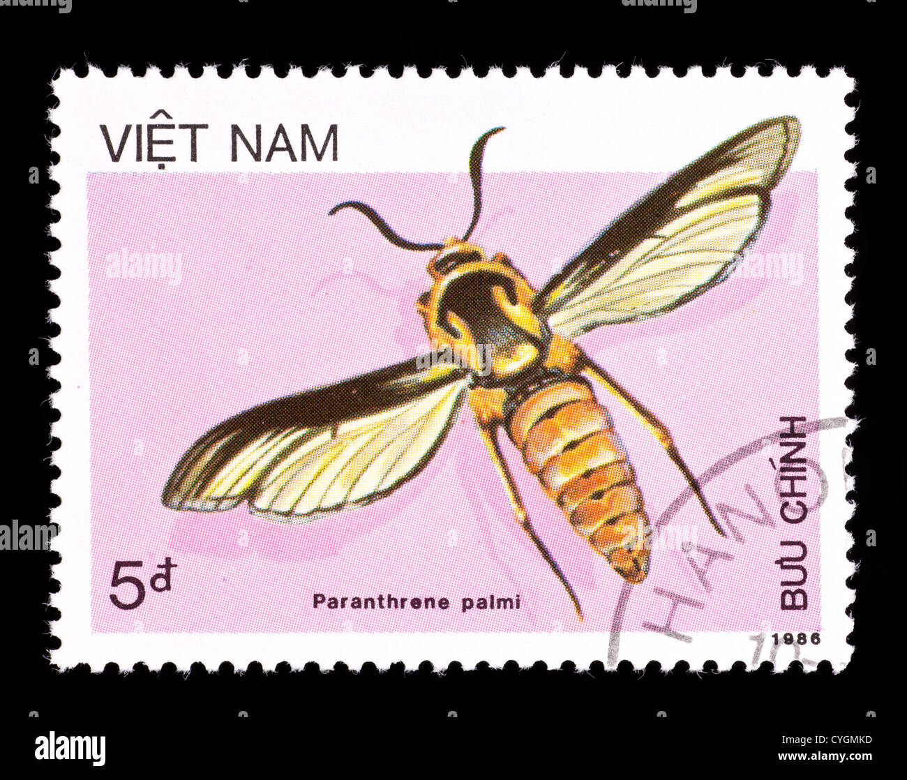 Postage stamp from Vietnam depicting a moth (Paranthrene palmi Stock ...