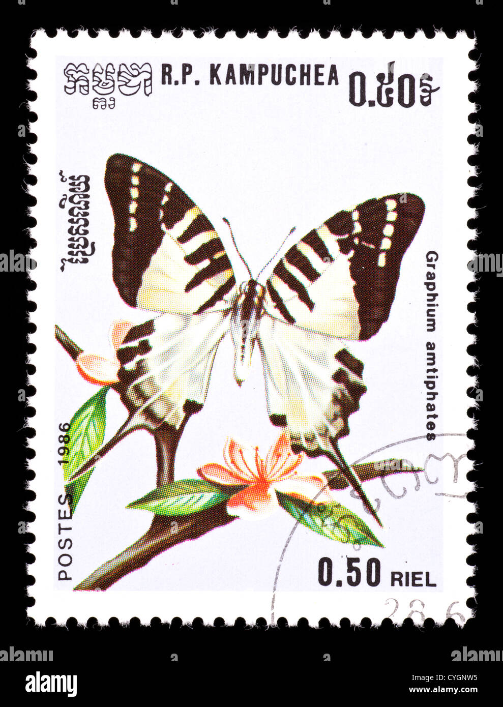 Postage stamp from Canbodia depicting a swallowtail butterfly (Graphium ...