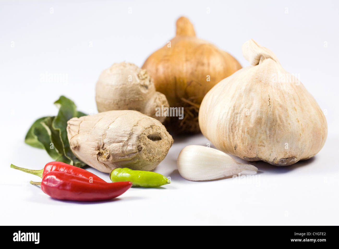 A selection of fresh and dried culinary herbs and spices against a ...