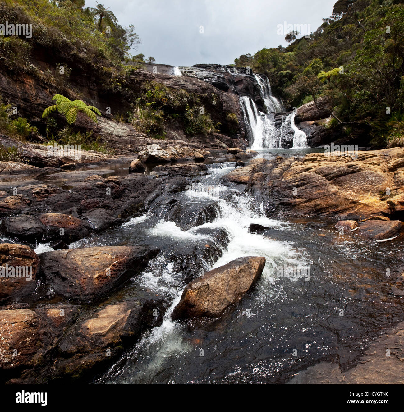 Waterfall on Sri Lanka,Horton Place Stock Photo - Alamy
