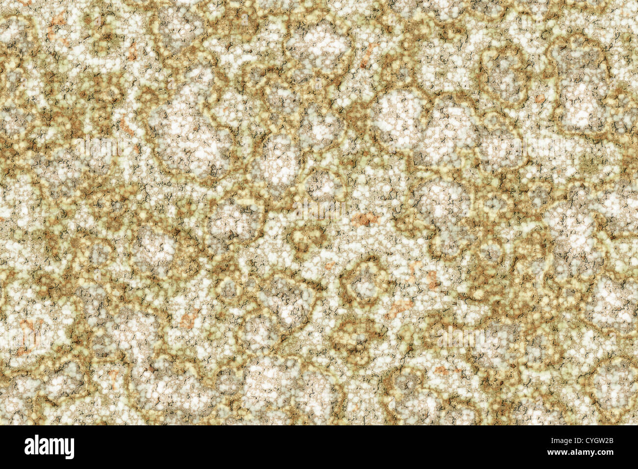 High quality computer generated rustic abstract background Stock Photo ...