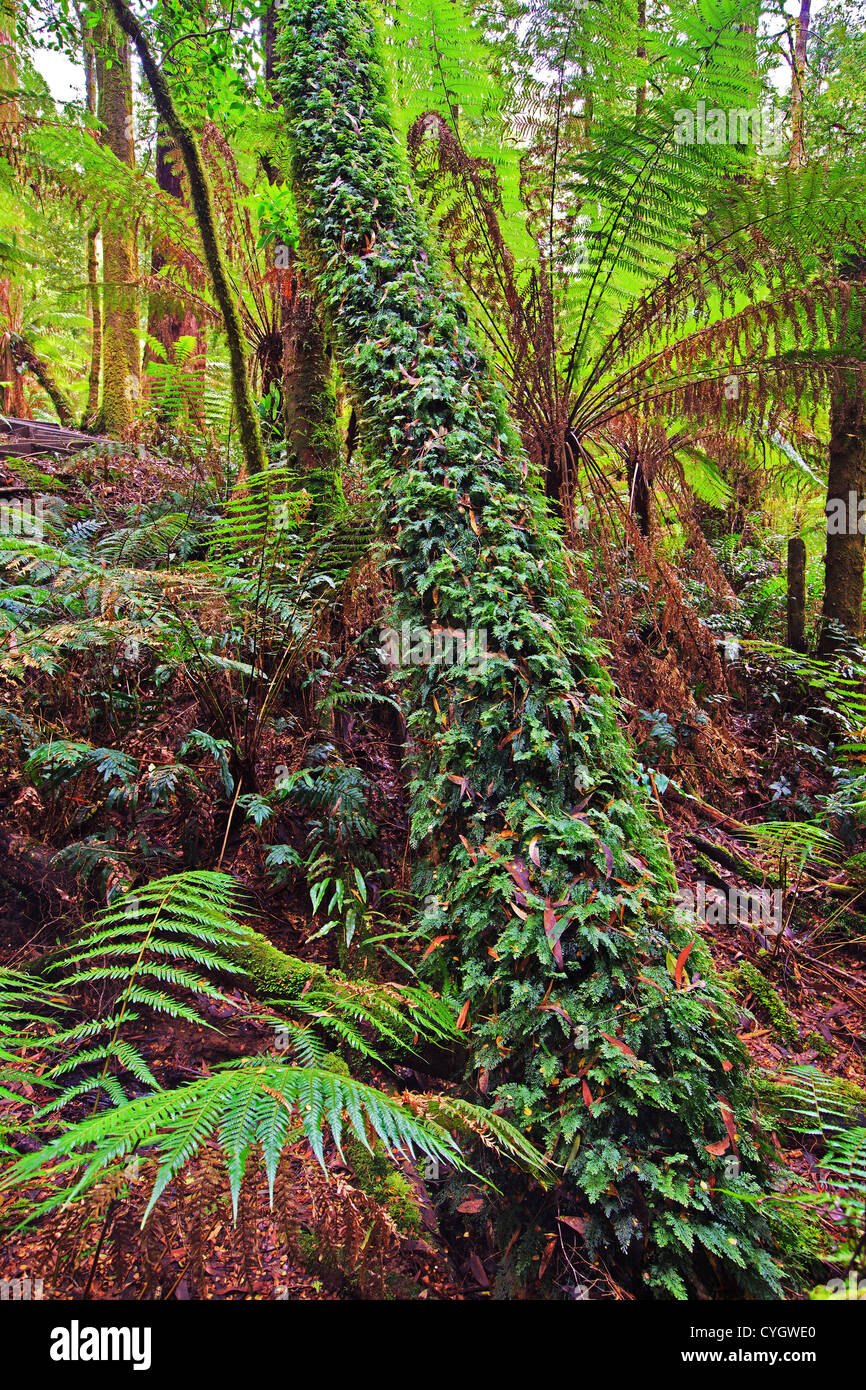 Ottway hi-res stock photography and images - Alamy